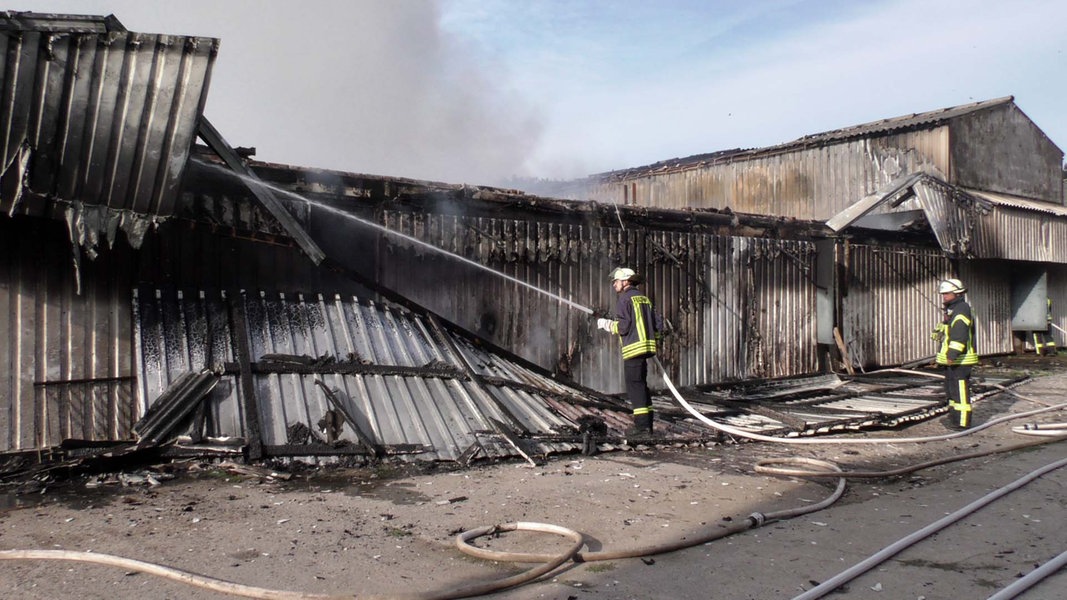 Hoher Schaden nach Brand im Schweinestall | NDR.de - Nachrichten ... Hoher Schaden nach Brand im Schweinestall | NDR.de - Nachrichten ...